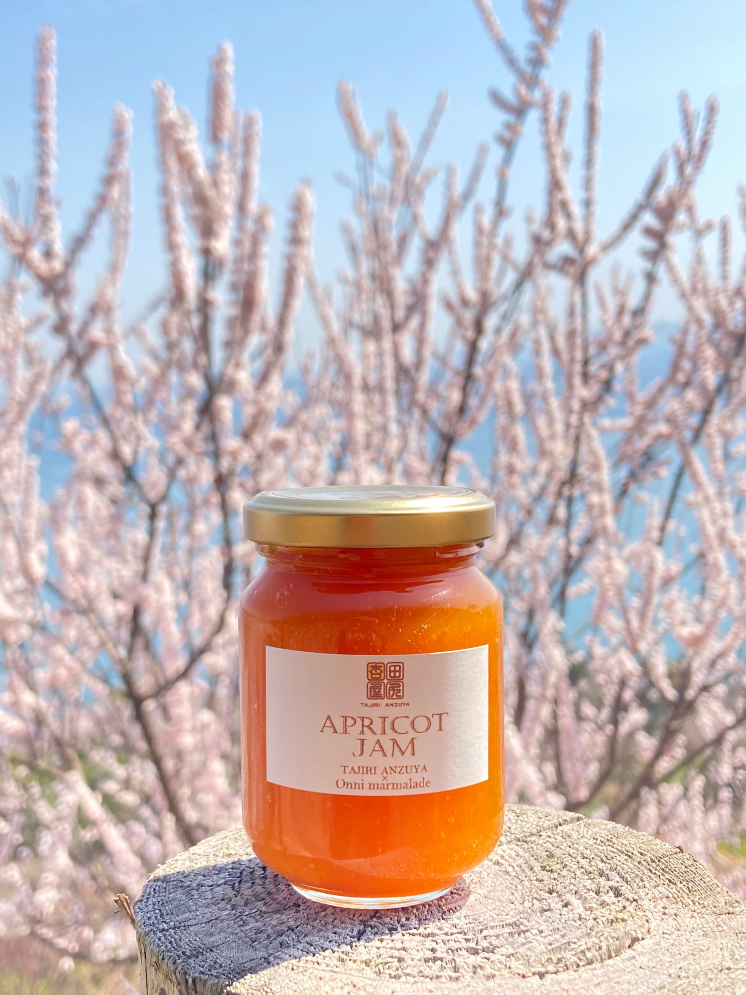 2024たじり杏まつり – tajiri-anzuya